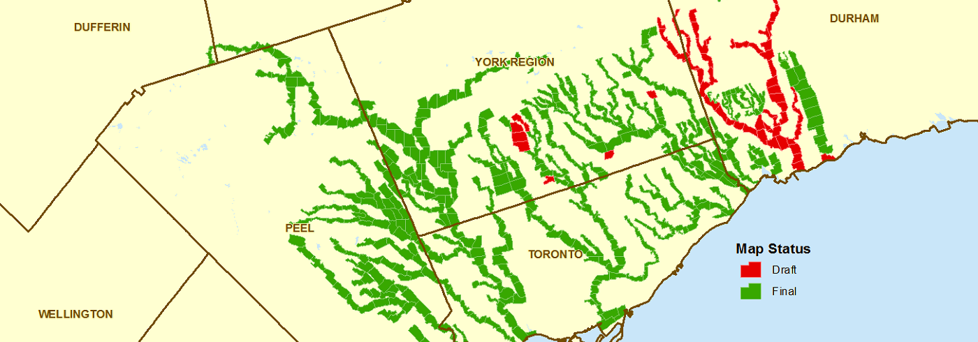 First Base Solutions Inc.